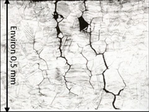 Des Microfissures en Série - Homo nuclearus